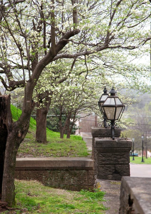 Spring in Natchez Mississippi Stock Photo - Image of rain, state: 72629514