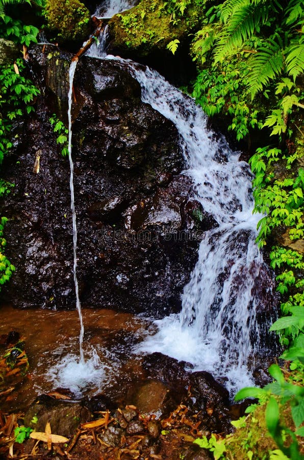 Spring stock image. Image of background, scenery, flowing - 72233465