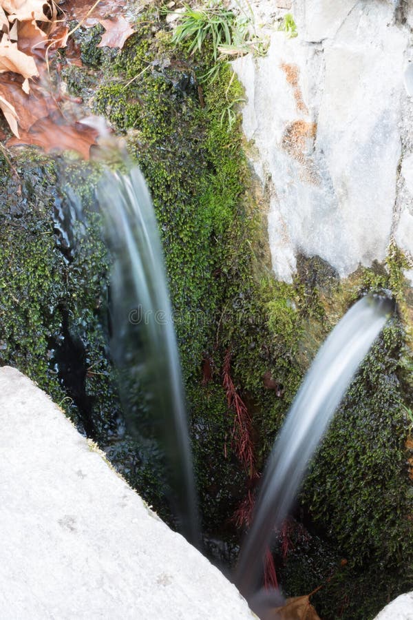 Natural Water Spring with Moss Stock Image - Image of health ...