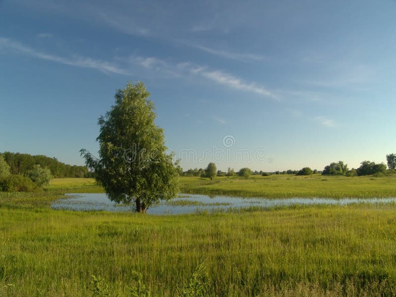 Crossroads stock photo. Image of field, teers, evening - 78367900