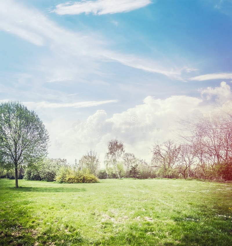 Lawn and trees stock image. Image of springtime, tree - 286981101
