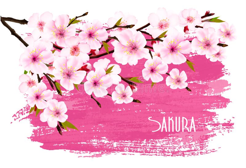 Spring Nature Background with Pink Sakura Branch. Stock Vector ...