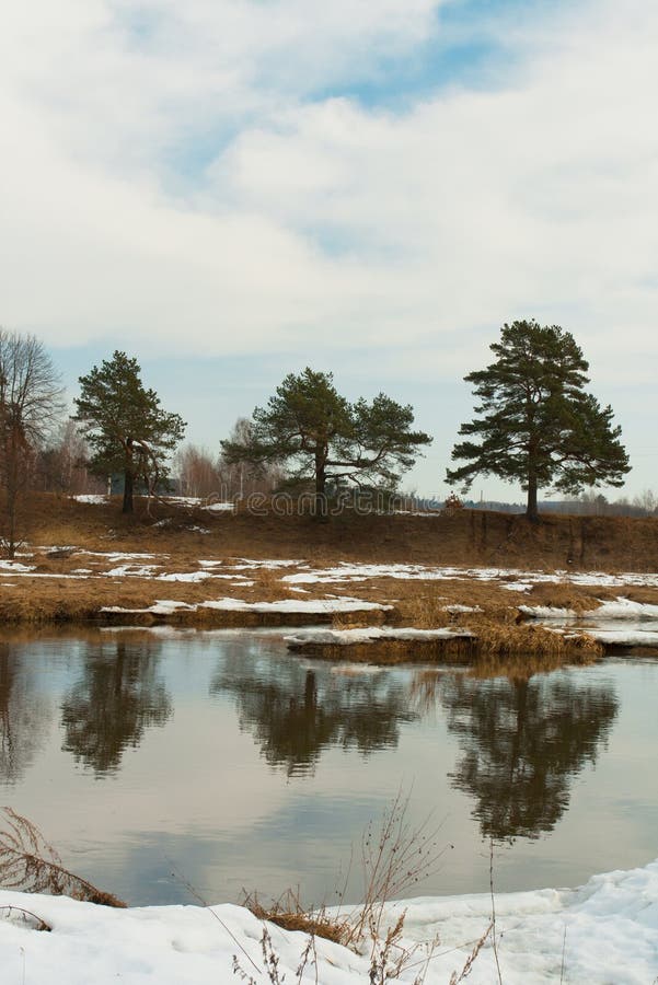 Spring Nature Landscape with Trees by River. Stock Photo - Image of ...