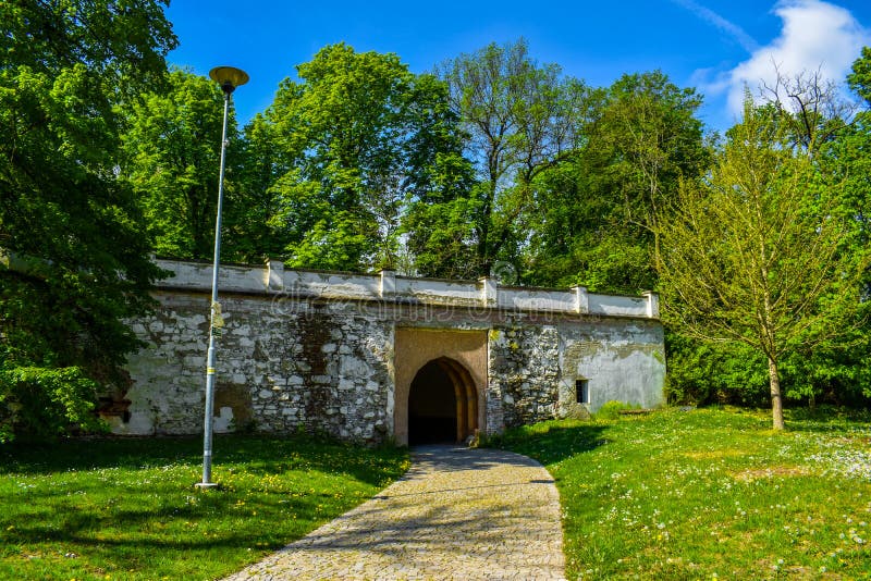 Spring nature stock photo. Image of time, blue, grass - 181184742
