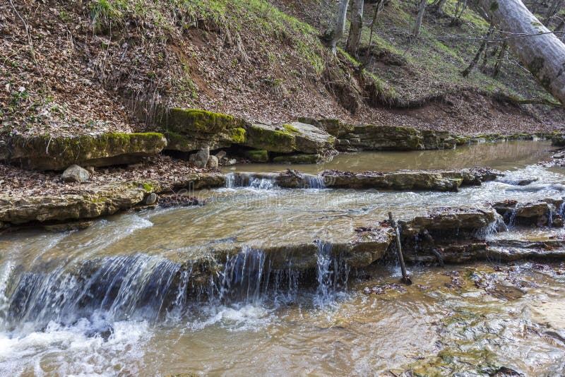 Spring in Nature, a Natural Park, a Mountain River in a Natural Channel ...