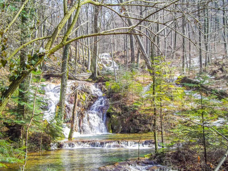 Spring nature stock image. Image of nature, green, landscape - 97879199