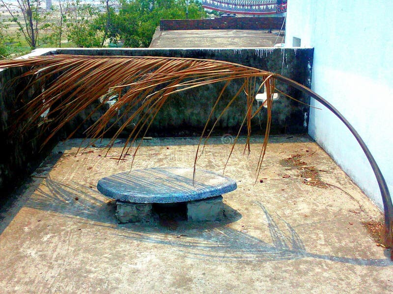 Spring Nature Tree stock image. Image of tree, summer - 113620787