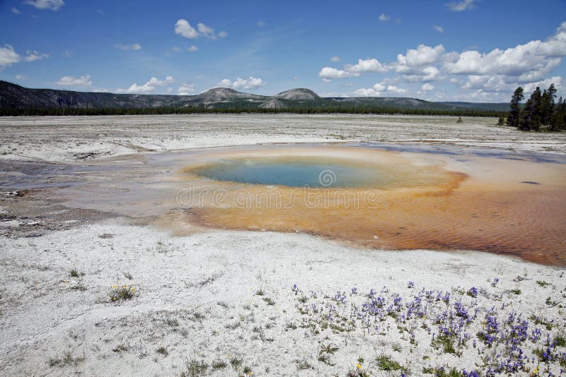 Spring Near Grand Prismatic Spring in Yellowstone Stock Photo - Image ...