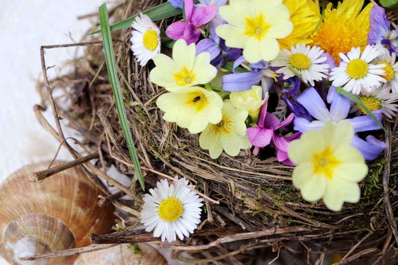 Spring nest with flowers stock photo. Image of season - 116272668