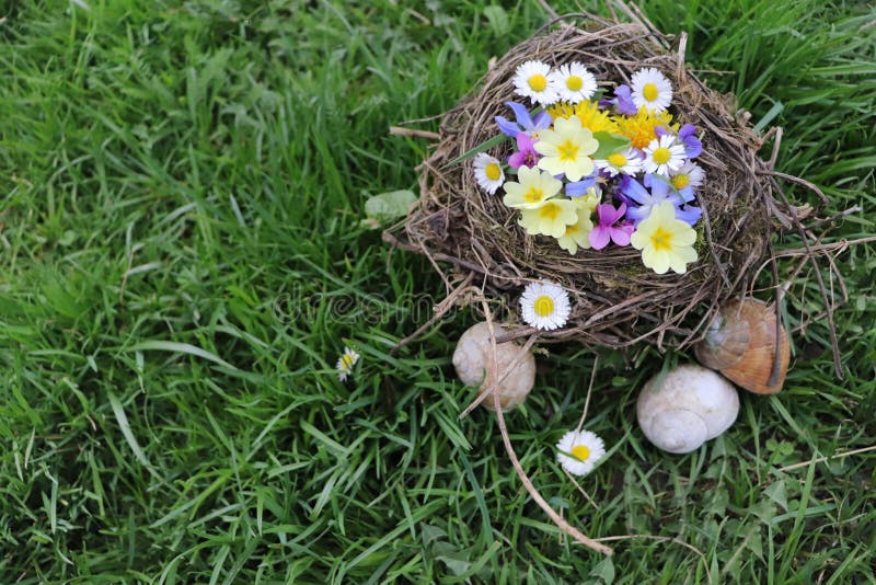 Spring nest with flowers stock photo. Image of season - 116272668