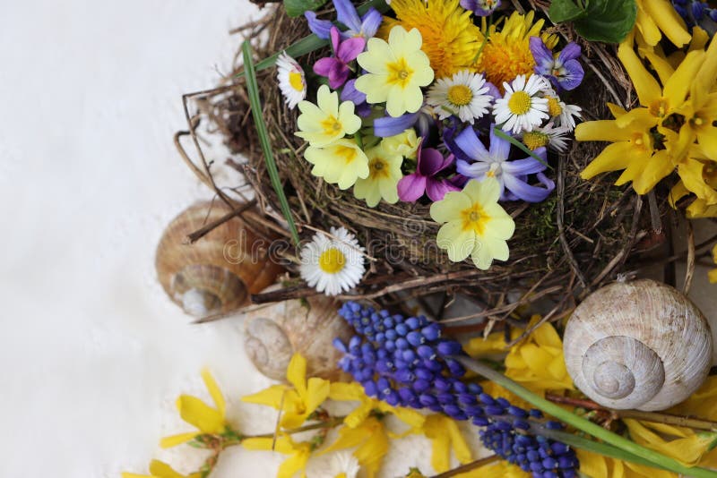 Spring nest with flowers stock photo. Image of creativity - 116272650
