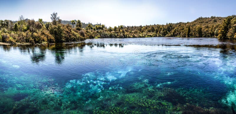 Spring - New Zealand stock image. Image of forest, cold - 77036483