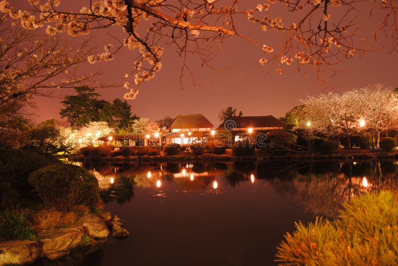 Spring Night stock image. Image of japan, traditional - 38180689