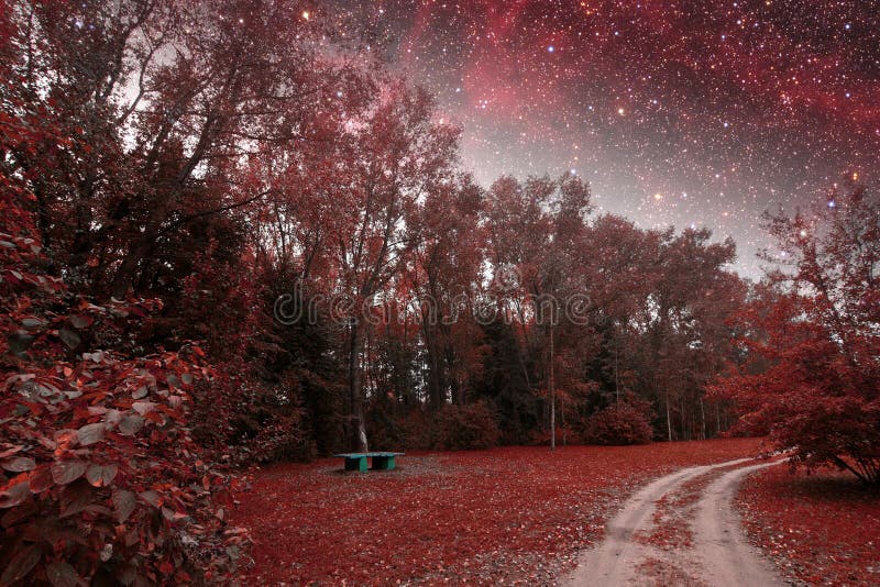 Spring Night Infrared Photography. Stock Image - Image of relativity ...