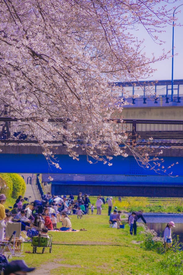 Spring of Nogawa & X28;Chofu City, Tokyo& X29; Editorial Photography ...