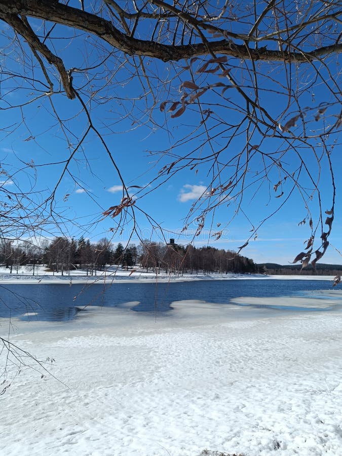 Spring in Sweden stock photo. Image of snow, wind, icicle - 112311890