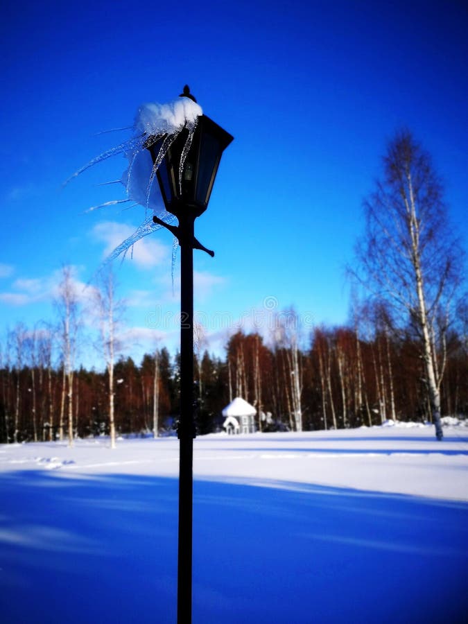 Spring in Sweden stock photo. Image of cowered, lamp - 112255356