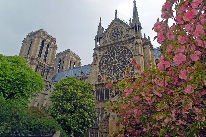 Spring at Notre Dame, Paris Stock Image - Image of french, france: 30799211