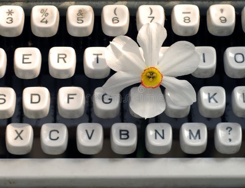 Spring in the office stock photo. Image of horticulture - 4797334