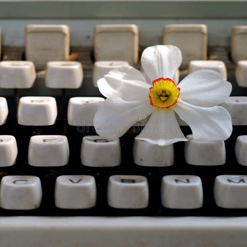 Spring in the office stock photo. Image of horticulture - 4797336