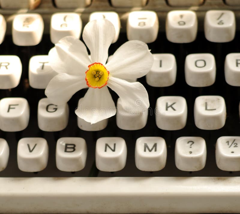 Spring in the office stock photo. Image of blooming, leaf - 4797338