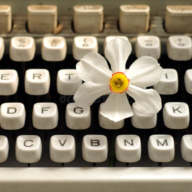 Spring in the office stock image. Image of detail, life - 4797341