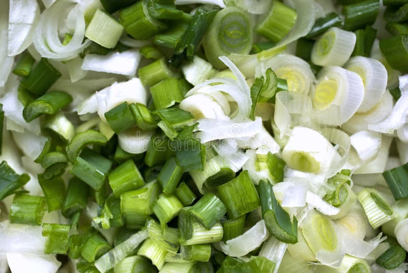 Spring onion stock image. Image of fresh, spring, preparing - 13148505