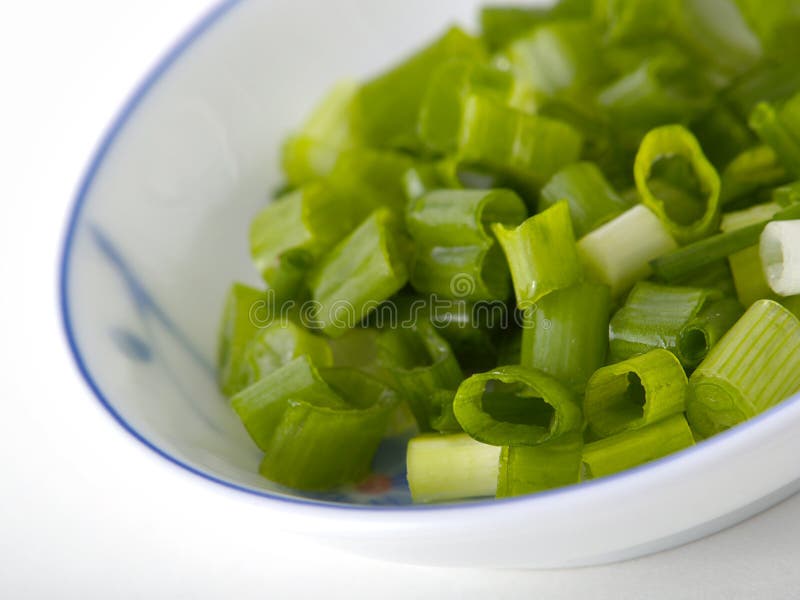 Spring Onion Picture. Image: 1613772