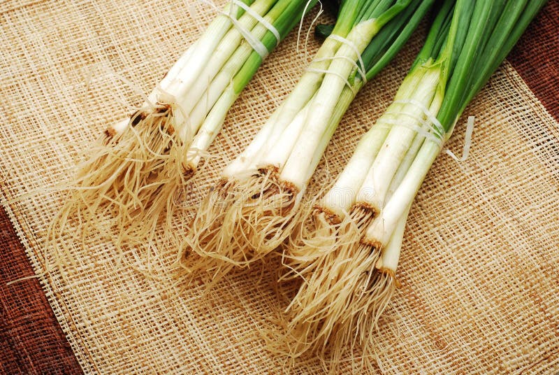 Spring Onion Vegetables Growing Garden Stock Photo - Image of farm ...