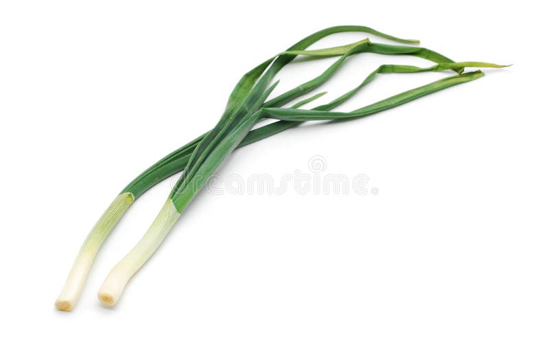 Spring onion stock photo. Image of healthy, food, onions - 18457226
