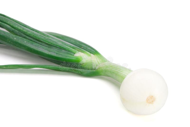 Spring onion stock photo. Image of natural, gourmet, leaves - 20345916