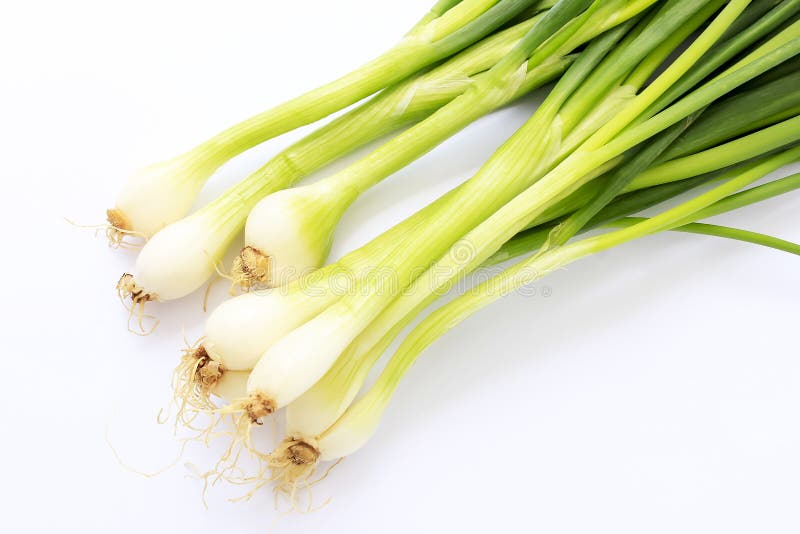 Onion stock image. Image of gourmet, aroma, leaves, healthy - 740441