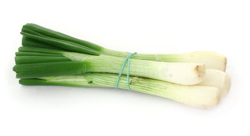 Spring onion stock image. Image of bunch, macro, vivid - 2412033