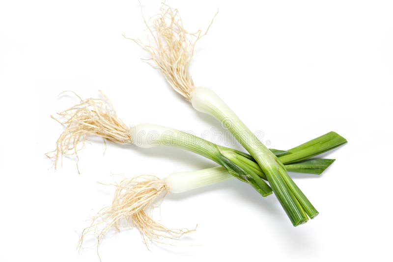 Spring onion stock photo. Image of spice, food, bulb, root - 2661678