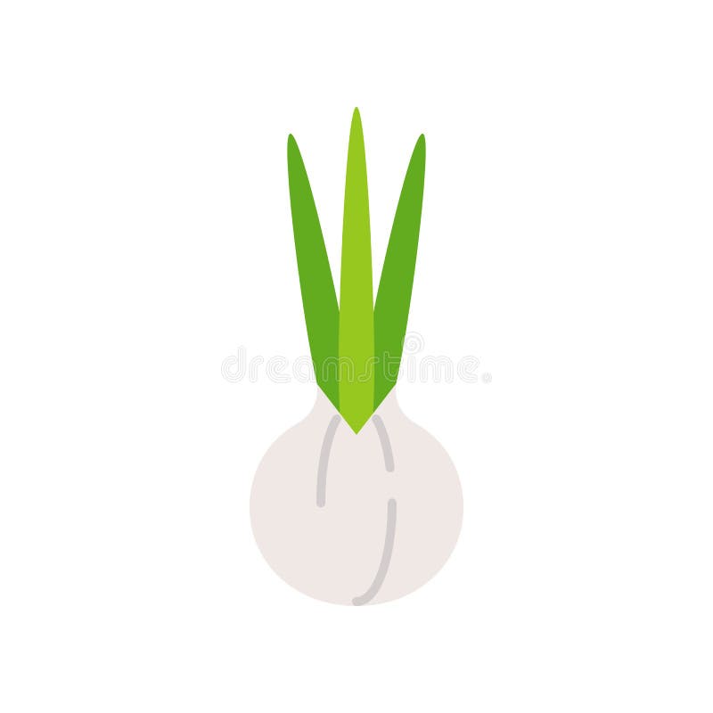 Spring onion, flat icon stock vector. Illustration of vegetable - 126593704
