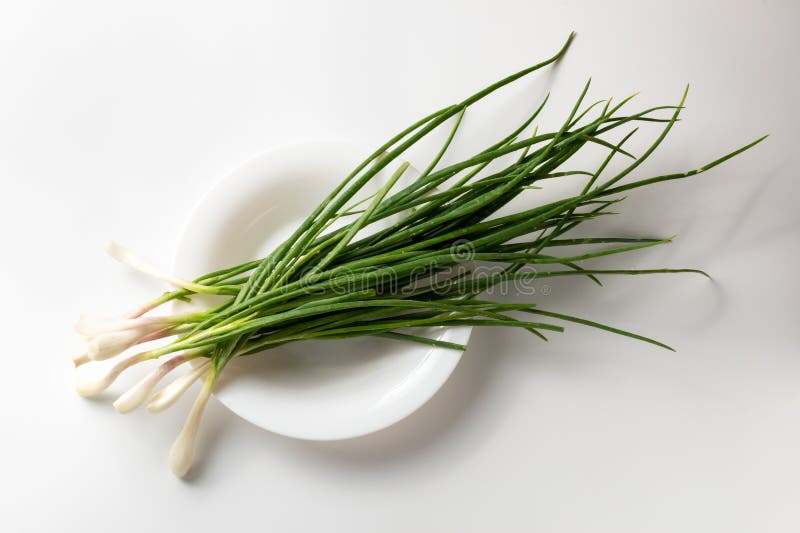 Spring Onion Green Onions on White Plate Dish Stock Image - Image of ...