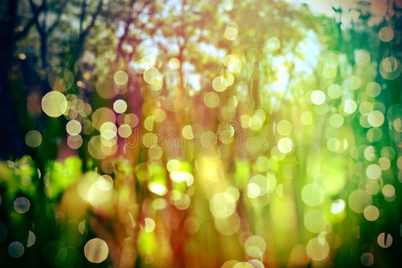 Spring onion stock image. Image of dewdrops, bright, green - 48596243