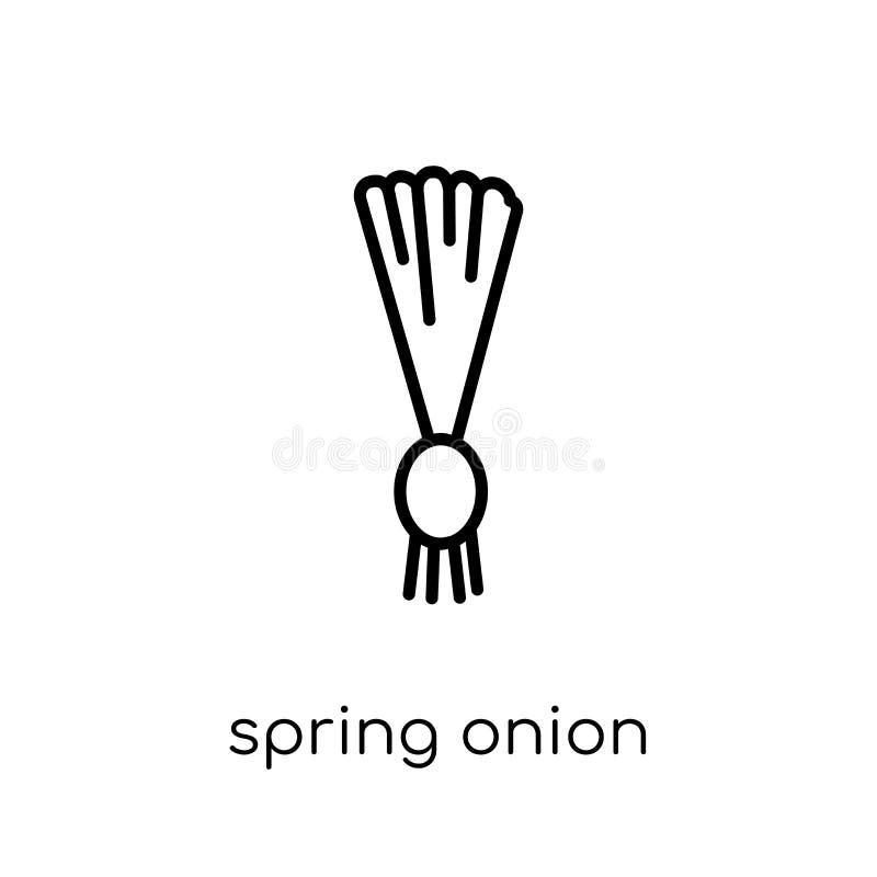 Spring Onion Icon from Fruit and Vegetables Collection. Stock Vector ...