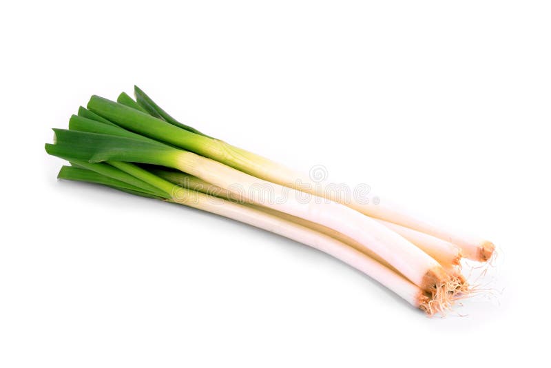 Spring Onion Isolated (scallions) Stock Photo - Image of rubber ...