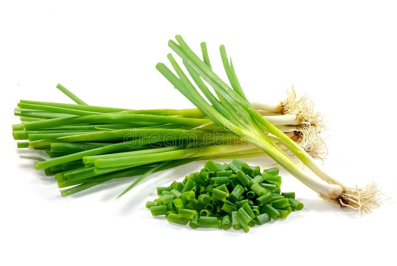 Spring Onion Isolated on White Stock Image - Image of spring, gourmet ...