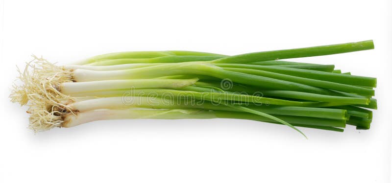 Spring Onion Isolated on White Stock Image - Image of spring, gourmet ...