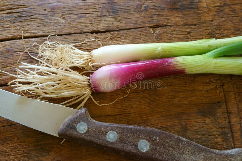 Spring onion and knife stock image. Image of table, cutting - 58599511