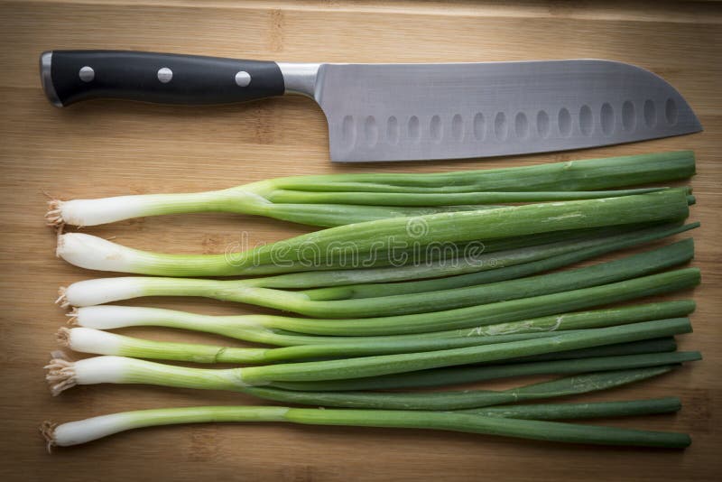 Spring onion stock image. Image of organic, produce, fresh - 55869585