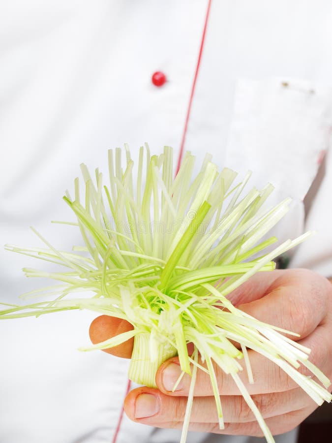 Spring Onion Made Like Flower Stock Image - Image of chef, food: 58480391
