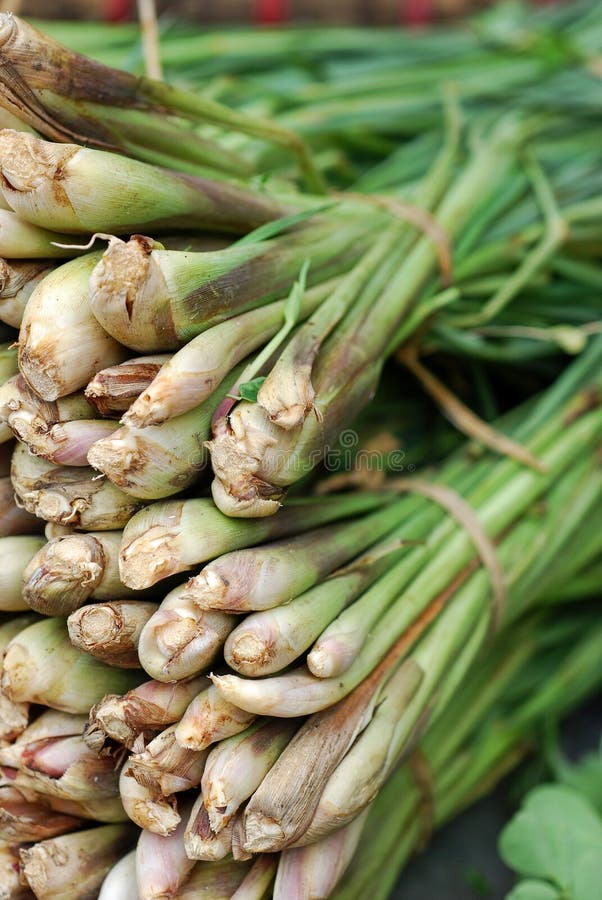 Spring Onion in market stock photo. Image of onion, philippines - 20062640
