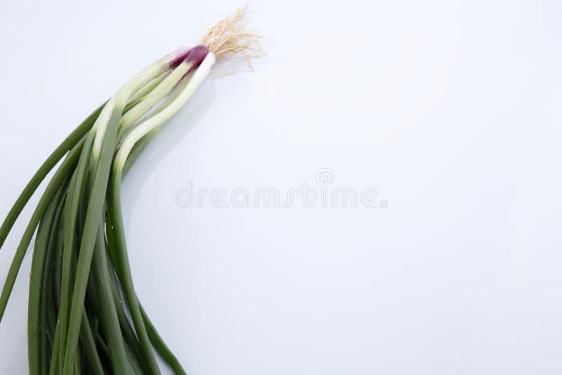 Spring onion stock photo. Image of healthy, eating, vegetable - 63908416