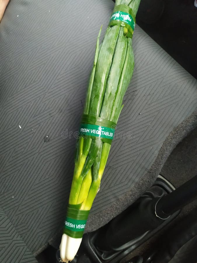 Spring onion by pics editorial photo. Image of dish - 265850151