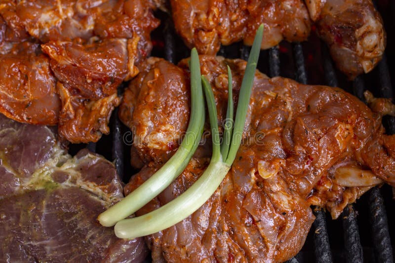 Spring Onion on Raw Meat on a Hot Grill Barbeque Stock Image - Image of ...