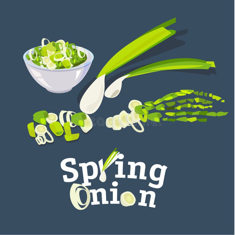 Spring onion set - stock illustration. Illustration of ingredient ...