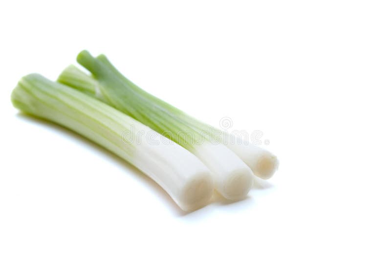 Spring onion stock image. Image of sliced, white, food - 32210557